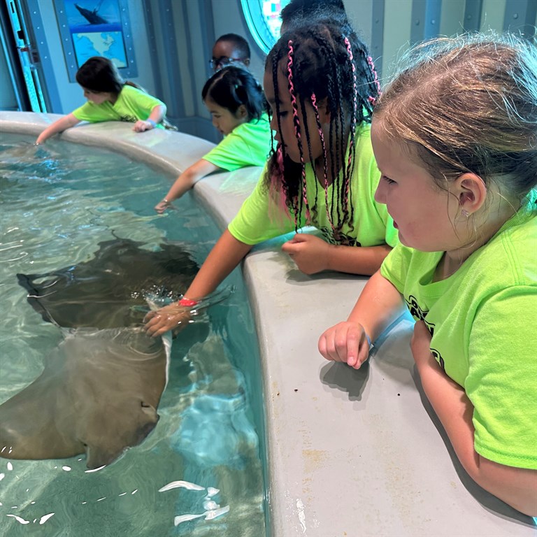 Week #6 - Sea Exploration