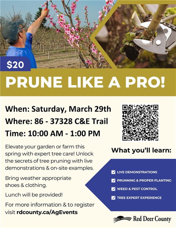 Prune Like A Pro!