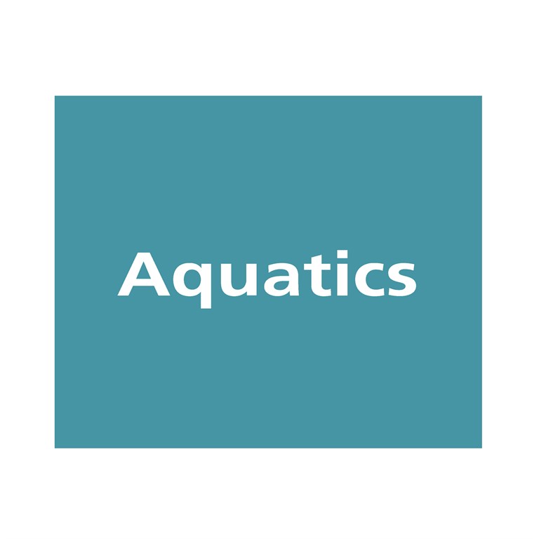 Inclusion and Special Needs Booking Page