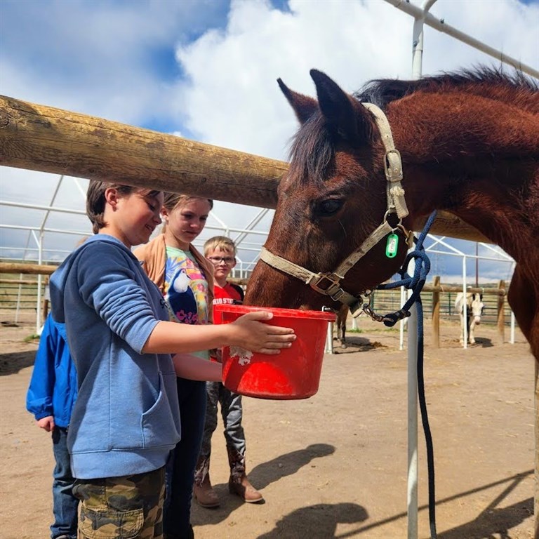 Horse Programs Booking Page