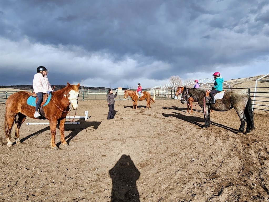 Horse Programs Booking Page
