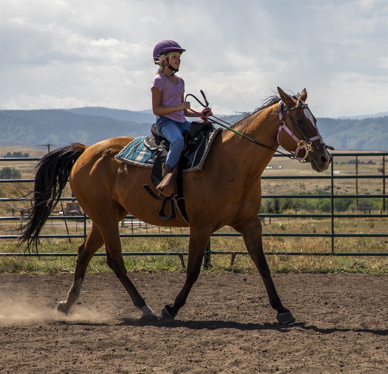Horse Programs Booking Page