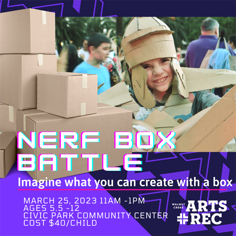 Nerf Box Battle Ages 8.5-12