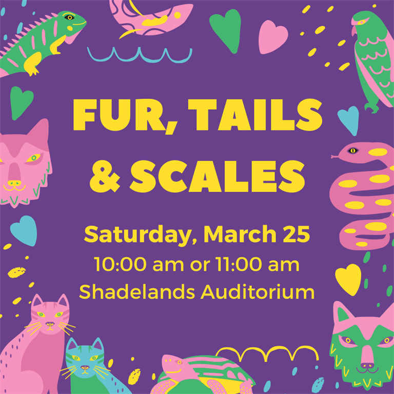 Fur Tails & Scales