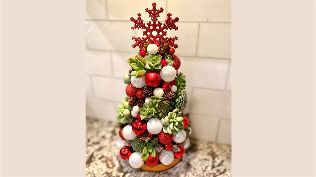 Succulent Christmas Tree Workshop