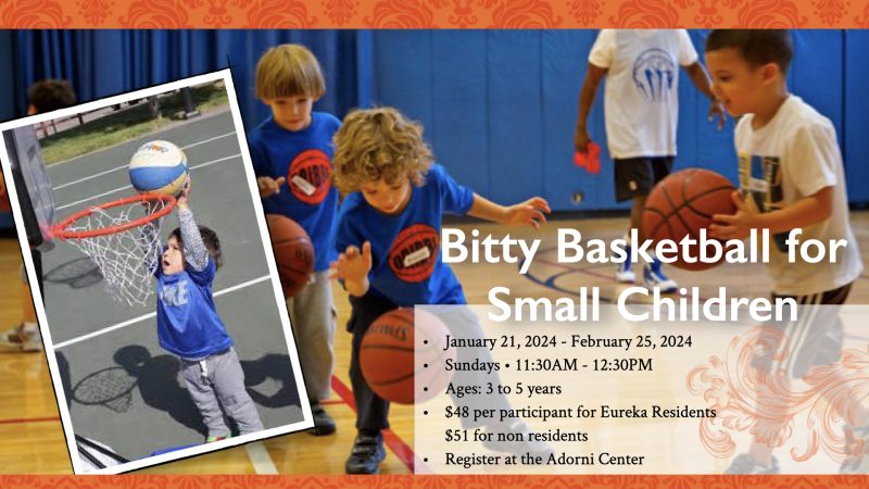 Bitty Basketball