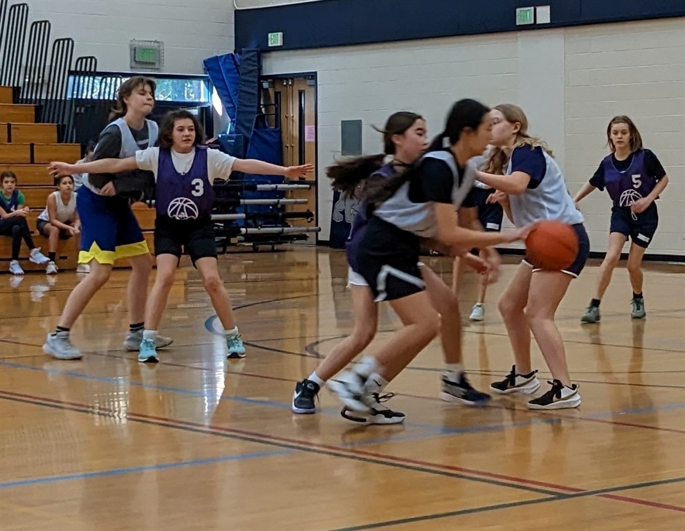 Youth Basketball League Booking Page