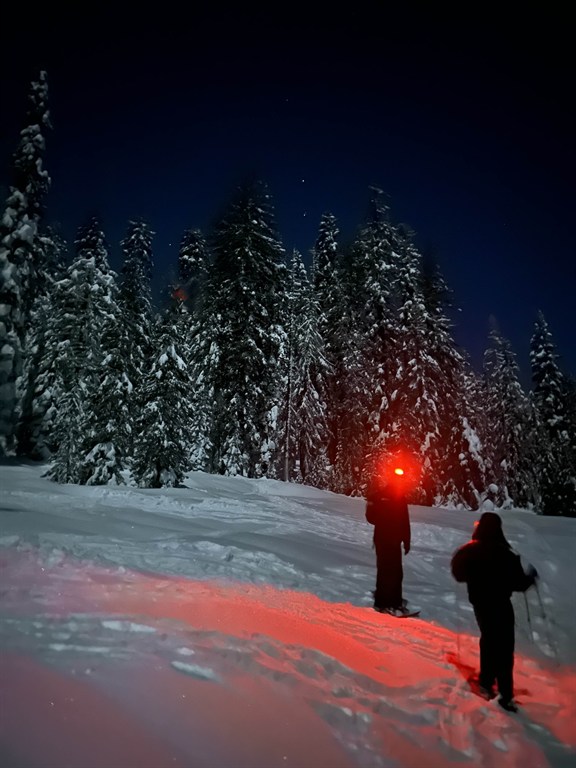 Moonlight Snowshoeing - Orientation Trip