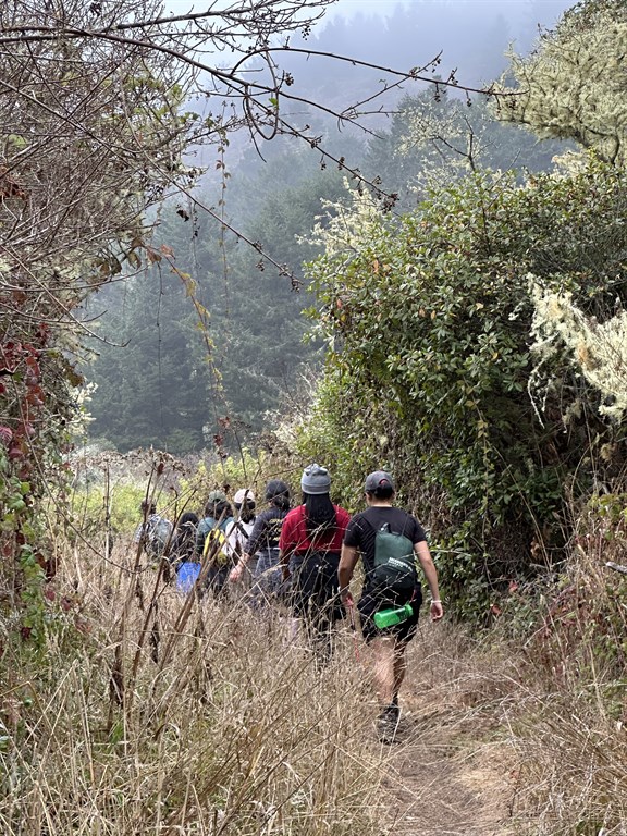 Pt. Reyes Backpacking